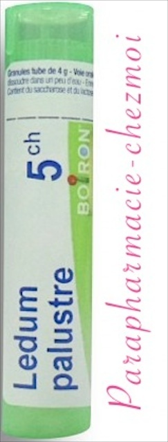 LEDUM PALUSTRE GRANULES 5CH - Parapharmacie Chez moi