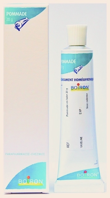 RUTA GRAVEOLENS POMMADE 5CH - Parapharmacie Chez moi